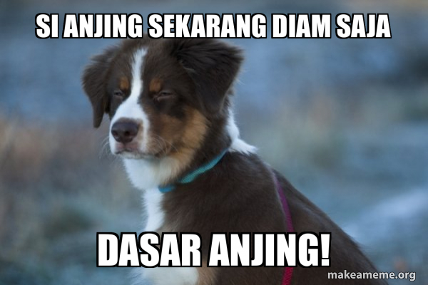 si anjing sekarang diam saja DASAR ANJING! - Unsure Dog Meme Generator