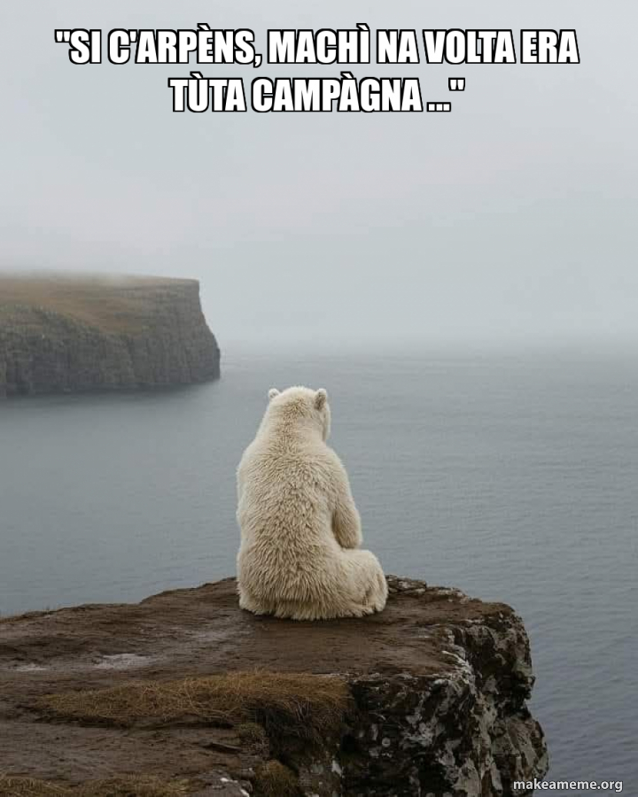 "si c'arpèns, machì na volta era tùta campàgna ..." Meme Generator