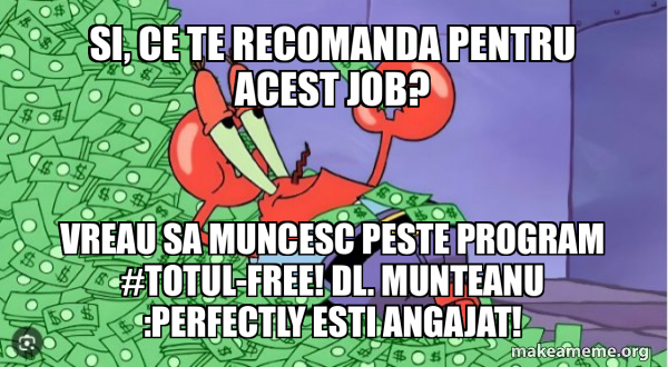 Si, ce te recomanda pentru acest job? Vreau sa muncesc peste program # ...