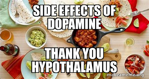 Side effects of Dopamine Thank you Hypothalamus Meme Generator