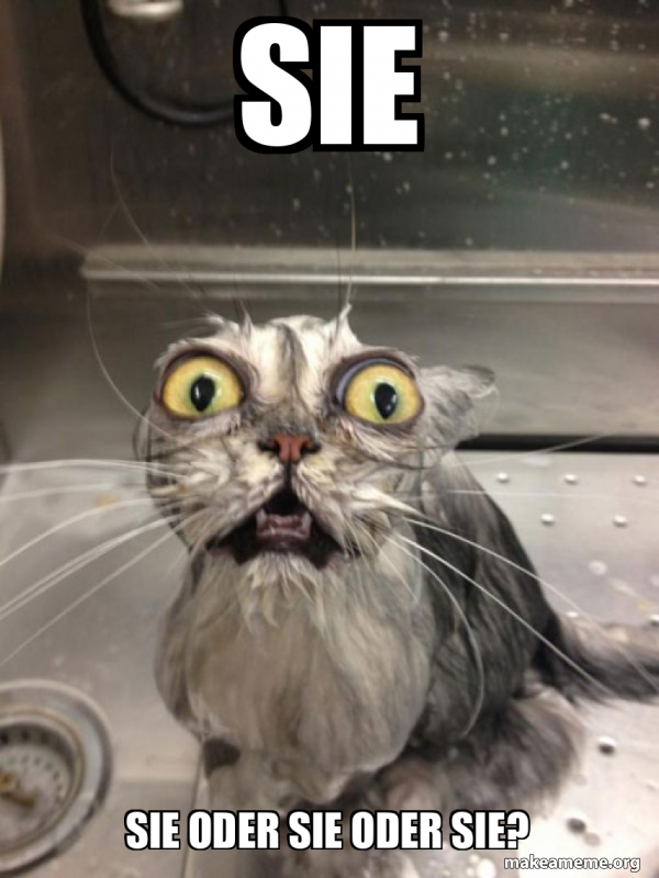 Sie sie oder sie oder Sie? - Cat bath Meme Generator