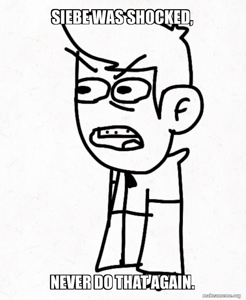 siebe was shocked, NEVER DO THAT AGAIN. Meme Generator