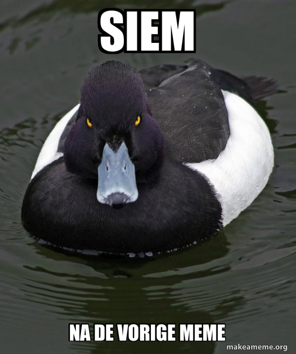 Siem na de vorige meme - Revenge Duck ( Angry Advice Duck ) Meme Generator
