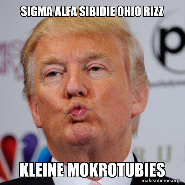 SIGMA ALFA SIBIDIE OHIO RIZZ KLEINE MOKROTUBIES - Donald Trump Kissing ...