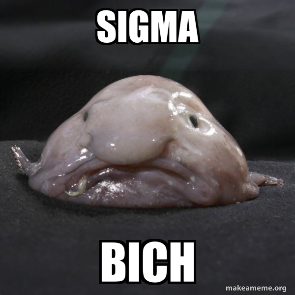 sigma bich - Blobfish Meme Generator