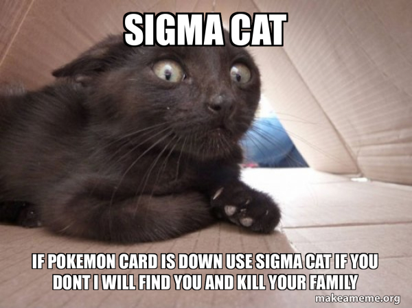 sigma cat If Pokemon card is down use sigma cat if you dont I WILL FIND ...