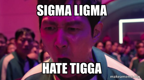 sigma ligma hate tigga - I've Played These Games Before Meme Generator