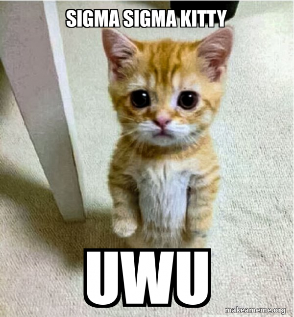 sigma sigma kitty UWU - Cute Cat Standing Meme Generator