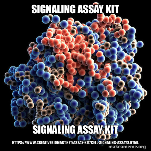 Signaling Assay Kit Signaling Assay Kit https://www.creativebiomart.net ...