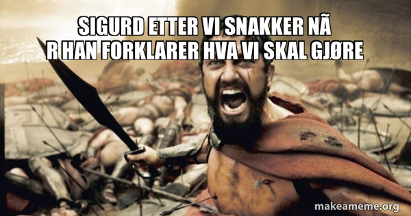 Sigurd etter vi snakker når han forklarer hva vi skal gjøre - The 300 ...