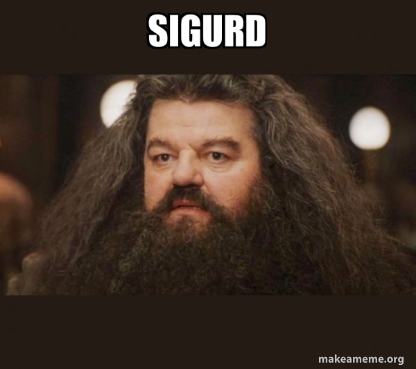 sigurd - Hagrid - I should not have said that Meme Generator