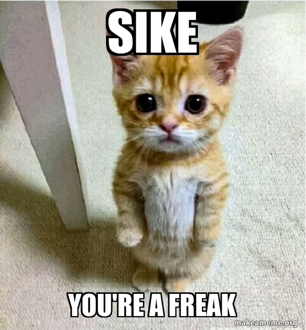 Sike You're a freak - Cute Cat Standing Meme Generator