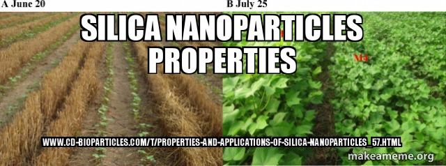 silica nanoparticles properties www.cd-bioparticles.com/t/Properties ...