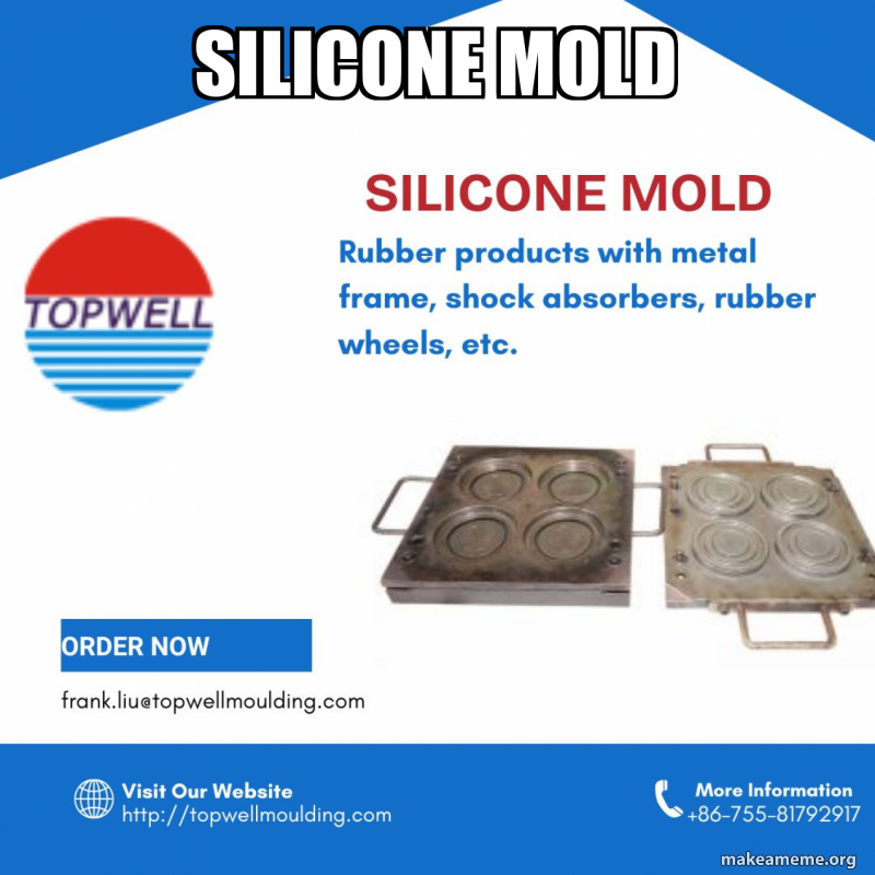 SILICONE MOLD Meme Generator