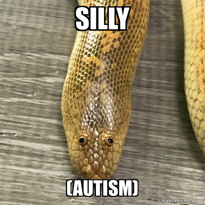 Silly (Autism) Meme Generator