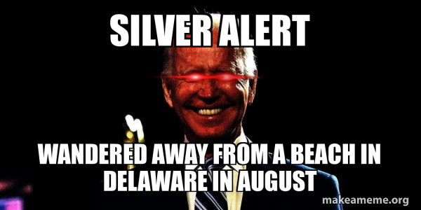 Silver alert wandered away from a beach in Delaware in august - Dark ...