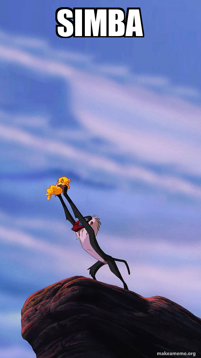 Funny Simba Memes