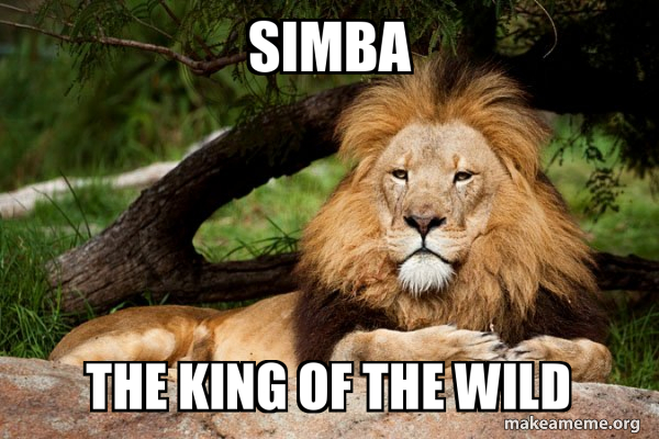 SIMBA The king of the wild - Contemplative Lion Meme Generator