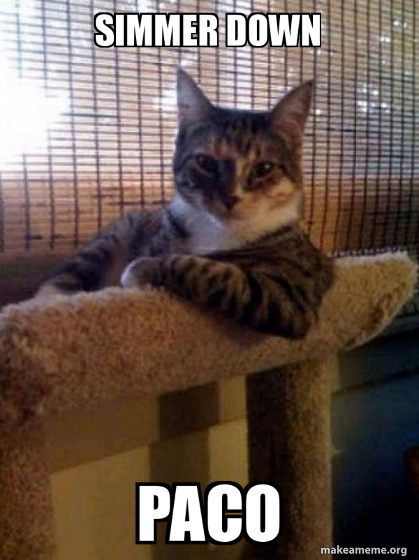 Simmer Down Paco - The Most Interesting Cat in the World Meme Generator