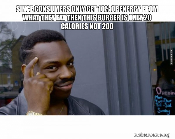 Since Consumers only get 10% of energy from what they eat then this ...