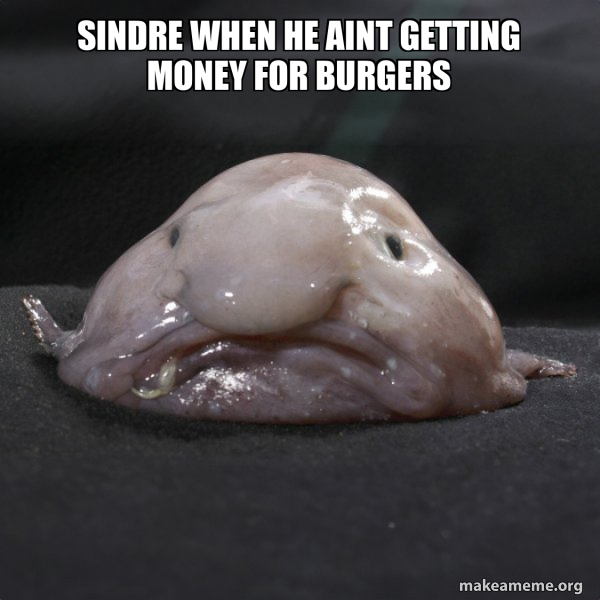 Sindre when he aint getting money for burgers - Blobfish Meme Generator