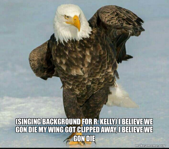 (SINGING BACKGROUND FOR R. KELLY) I BELIEVE WE GON DIE MY WING GOT ...