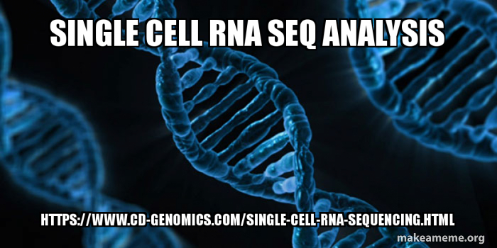 single cell rna seq analysis https://www.cd-genomics.com/single-cell ...