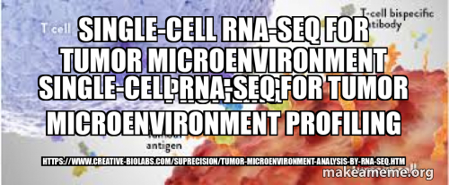 Single-cell RNA-seq for tumor microenvironment profiling Single-cell ...