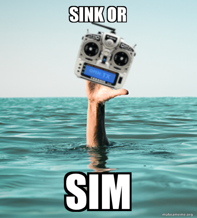 SINK OR SIM Meme Generator