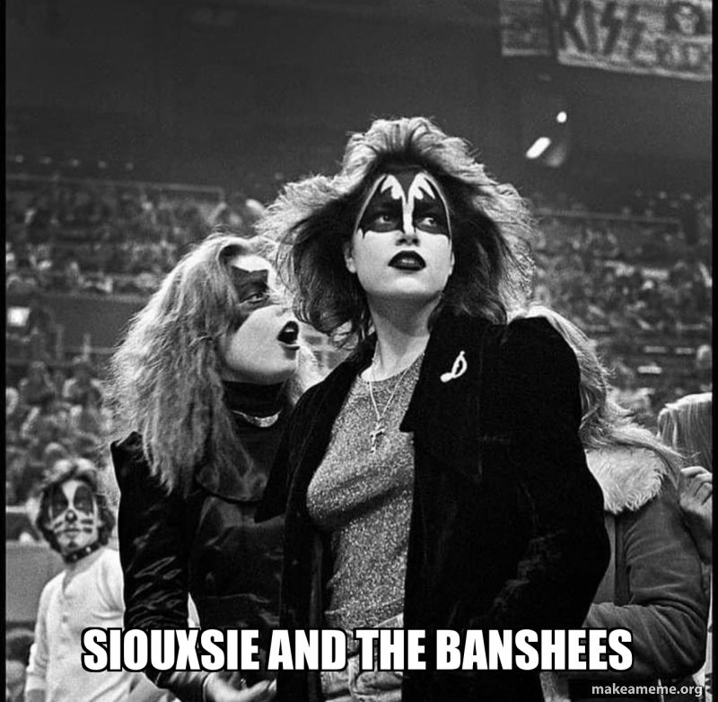 Siouxsie and the Banshees Meme Generator