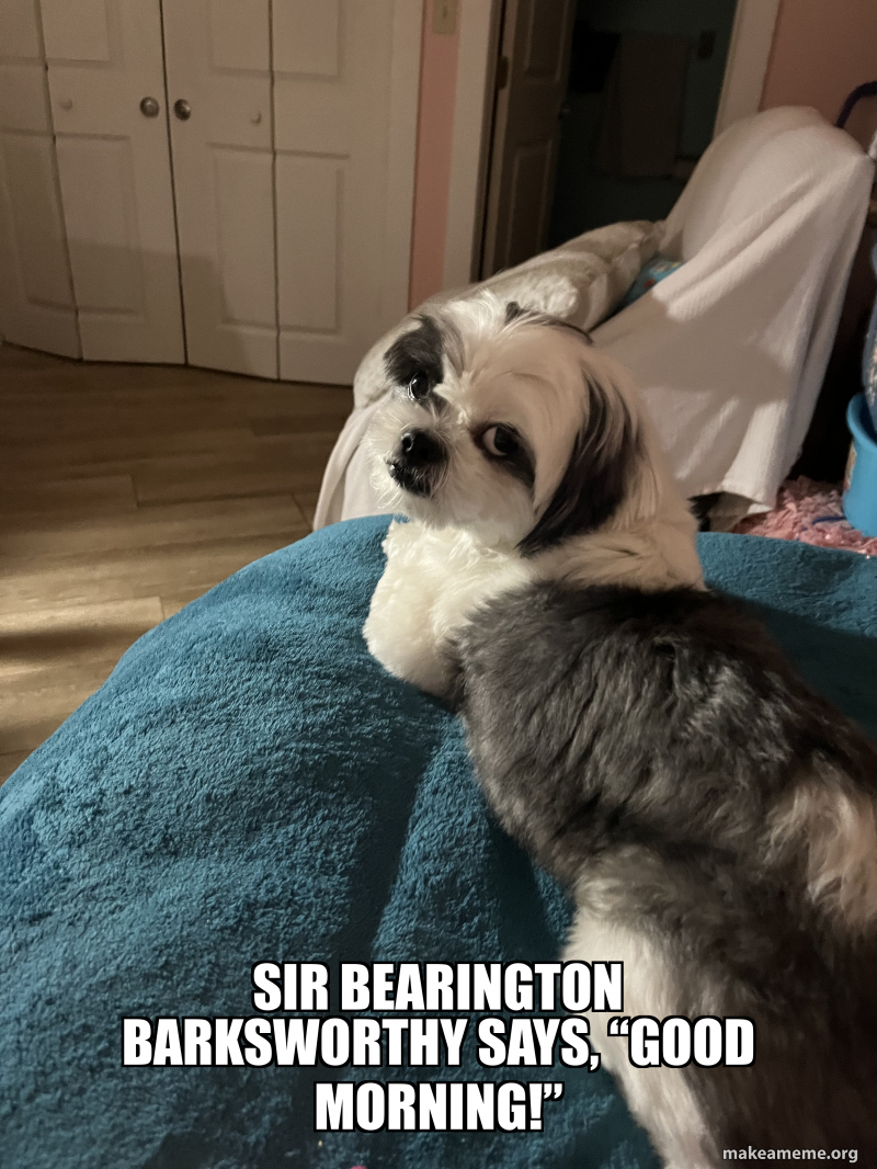 Sir bearington barksworthy says, “good morning!” Meme Generator