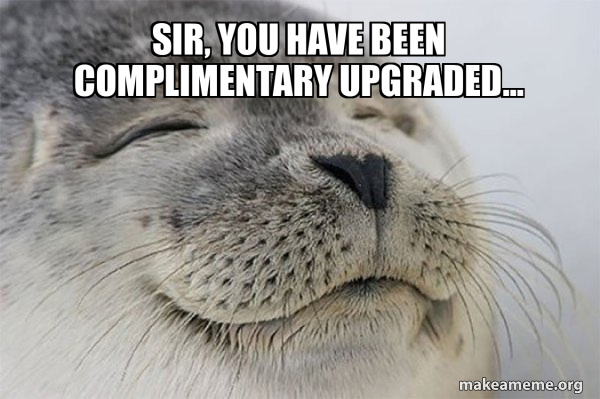 Sir, you have been complimentary upgraded... - Satisfied Seal Meme ...