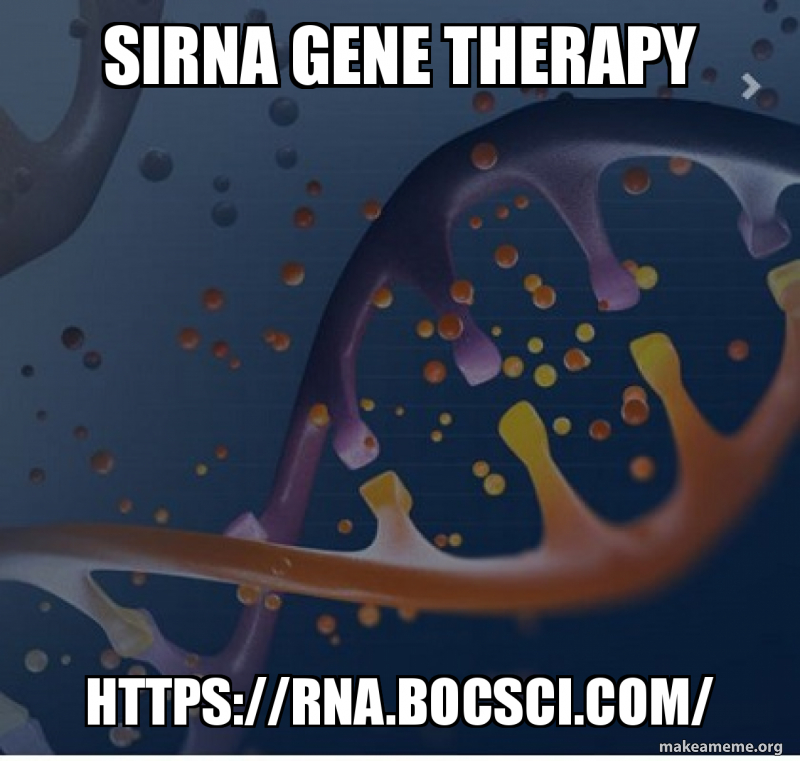 sirna gene therapy https://rna.bocsci.com/ Meme Generator
