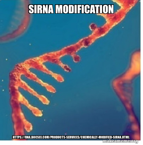 sirna modification https://rna.bocsci.com/products-services/chemically ...