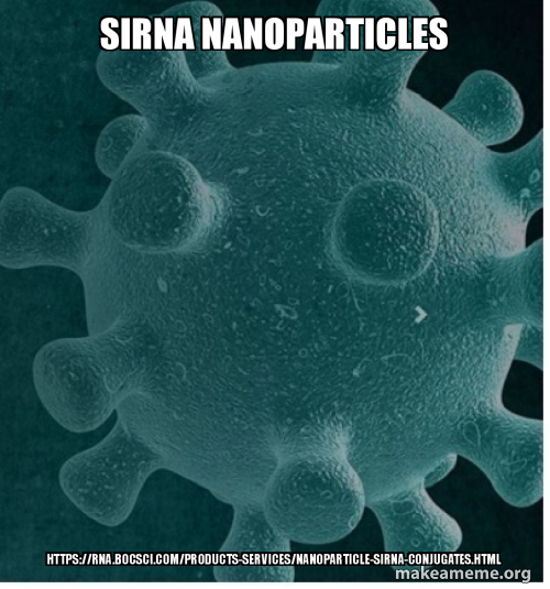 sirna nanoparticles https://rna.bocsci.com/products-services ...