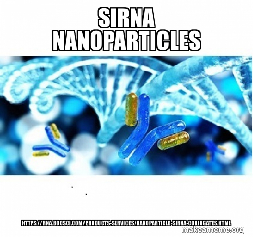sirna nanoparticles https://rna.bocsci.com/products-services ...