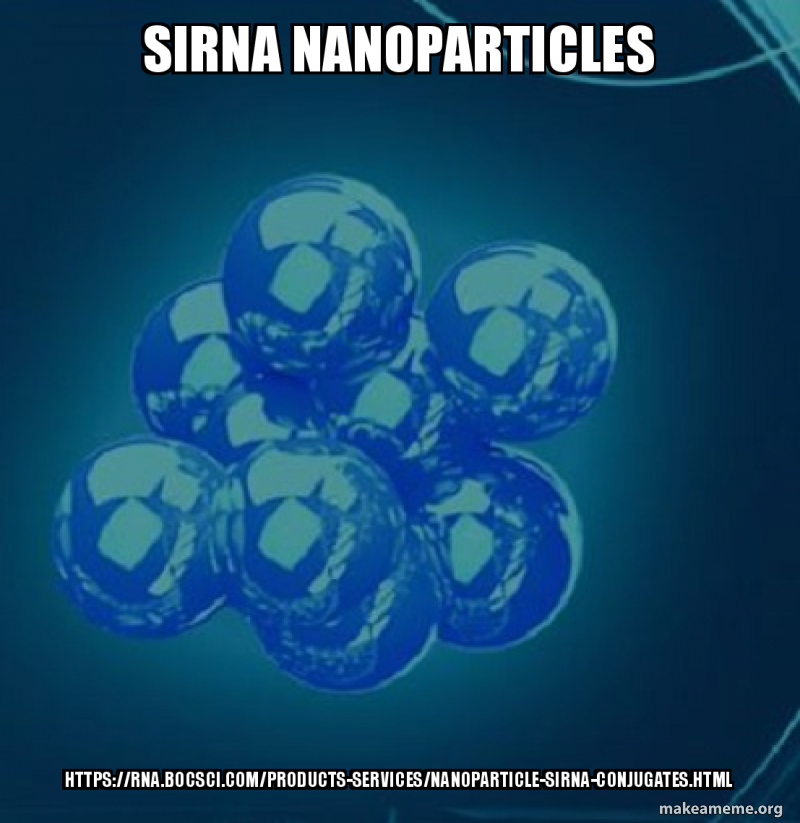 sirna nanoparticles https://rna.bocsci.com/products-services ...