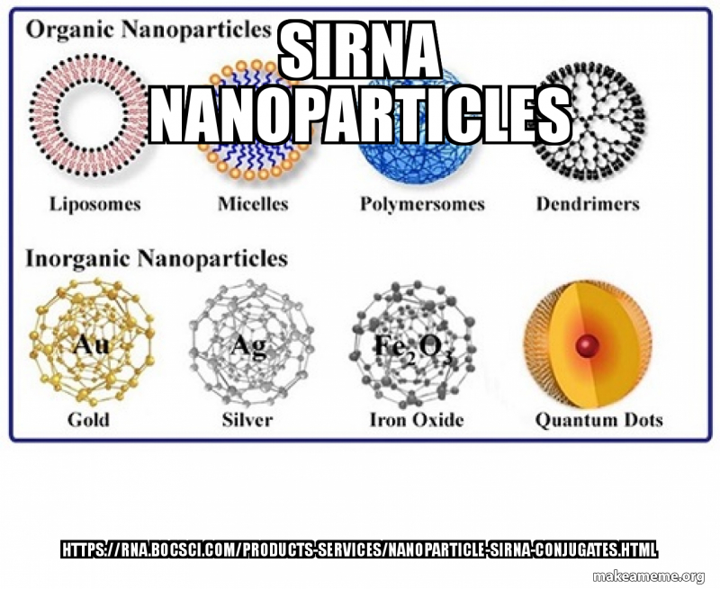 sirna nanoparticles https://rna.bocsci.com/products-services ...