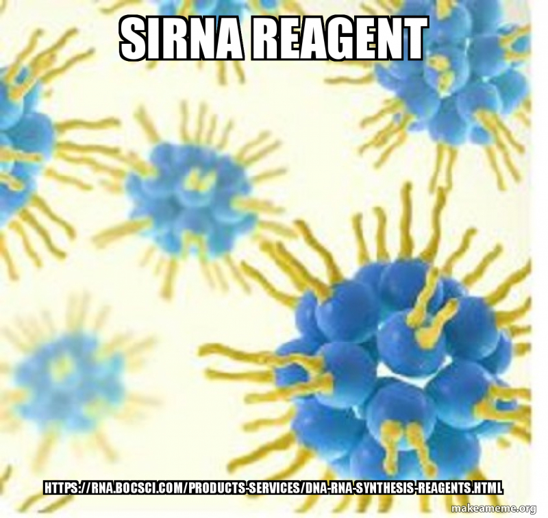 sirna reagent https://rna.bocsci.com/products-services/dna-rna ...