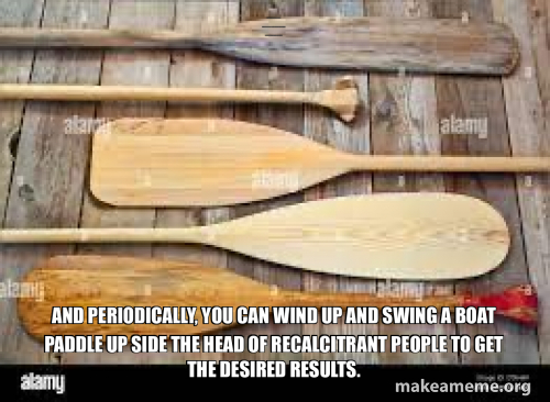 sIT ALWAYS PAYS TO FIND THE PERSON WITH THE BOAT PADDLE. BOAT PADDLES ...