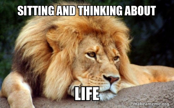 Sitting and thinking about LIFE - Confession Lion Meme Generator