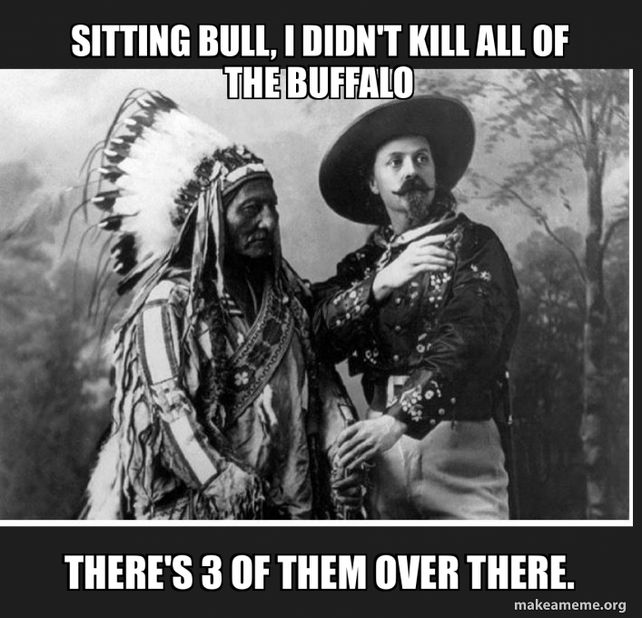 sitting bull, i didn't kill all of the buffalo there's 3 of them over ...