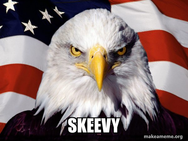 skeevy - American Pride Eagle Meme Generator