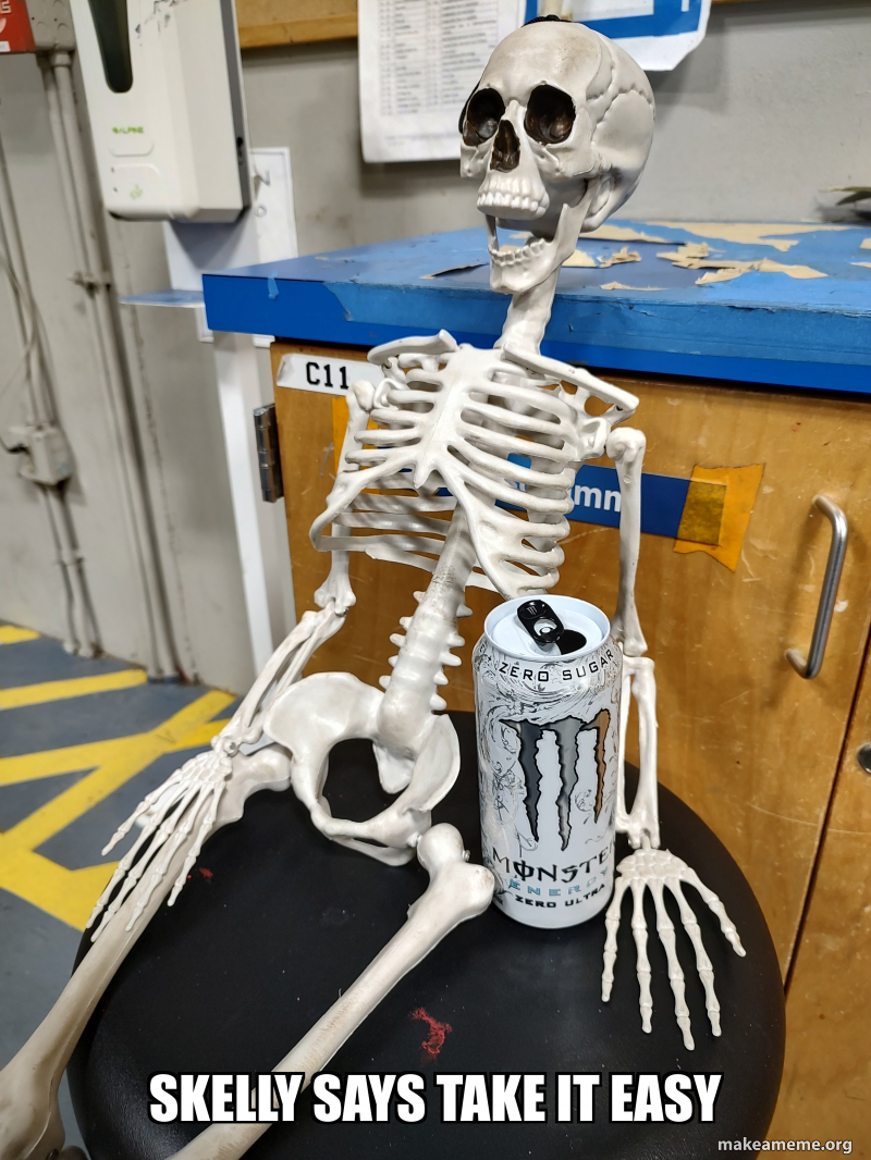 SKELLY SAYS TAKE IT EASY Meme Generator