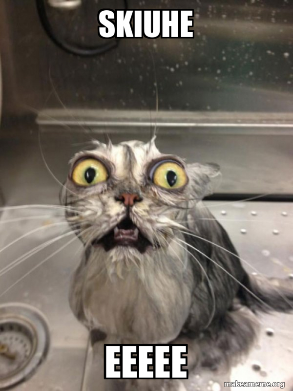 skiuhe eeeee - Cat bath Meme Generator