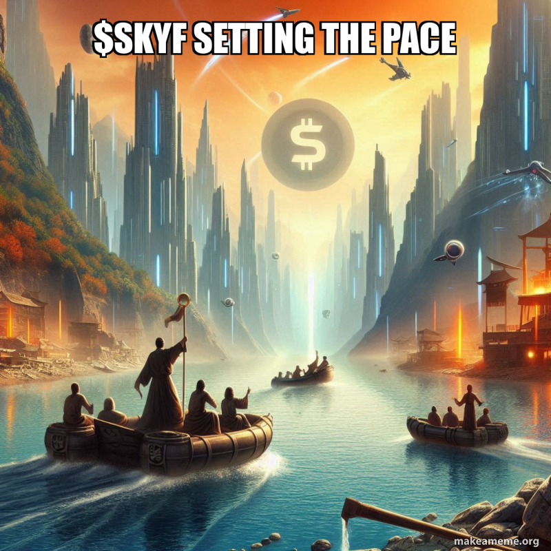 $SKYF Setting the pace Meme Generator