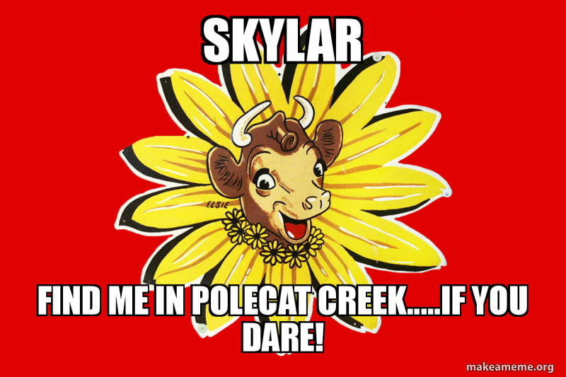 skylar find me in polecat creek.....if you dare! Meme Generator