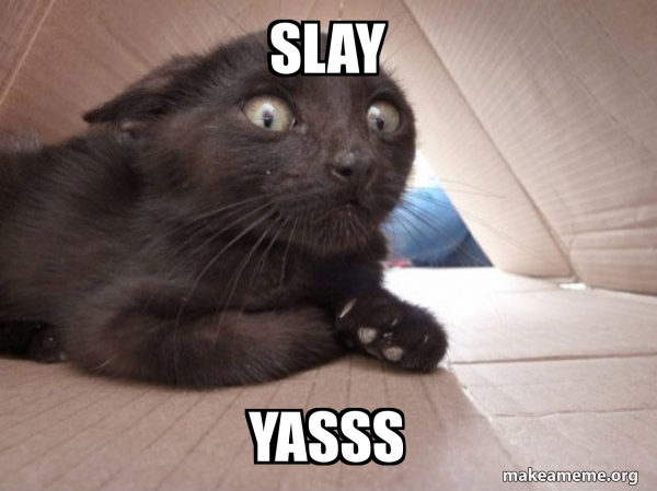 Slay YASSS - Schitzo Cat Meme Generator