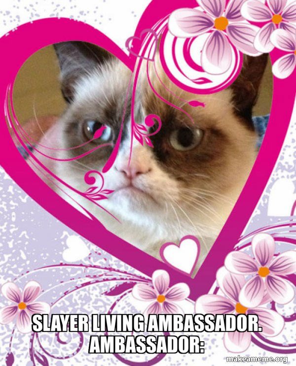 Slayer living ambassador. Ambassador: - Grumpy cat Valentines Day Meme ...