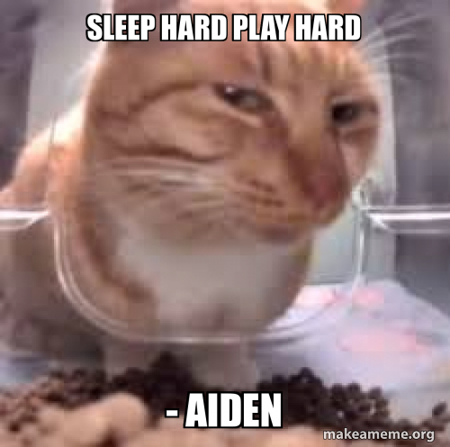 Sleep hard play hard - aiden Meme Generator